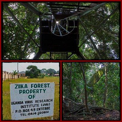 A Visit to Zika Forest - where the Zika Virus originated
